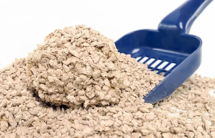 Top Wholesale Kitty Litter Options: Affordable & High-Quality Bulk ...