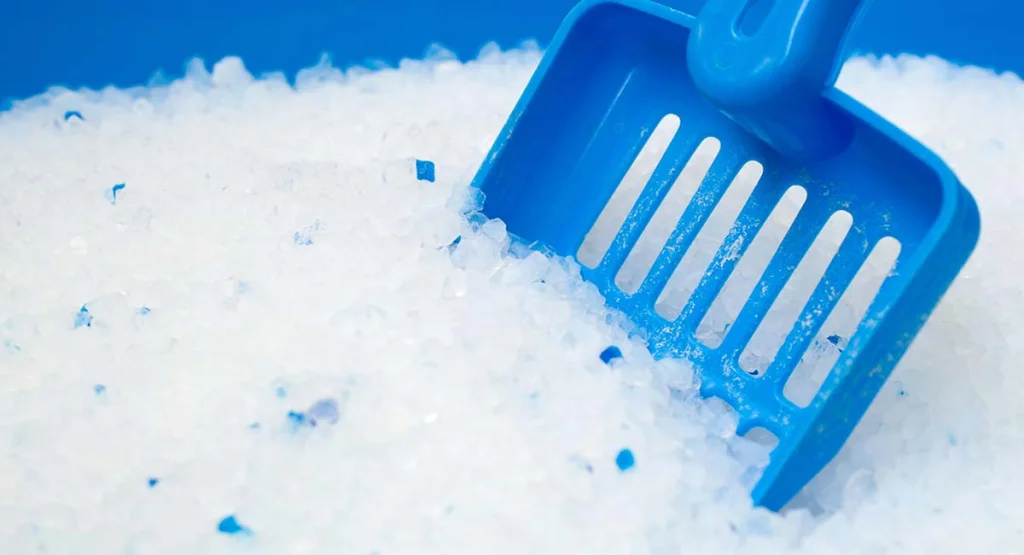 Top Wholesale Kitty Litter Options: Affordable & High-Quality Bulk ...