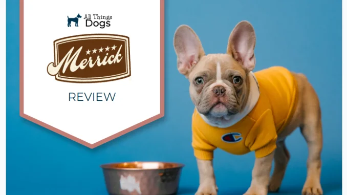 Is Merrick Dog Food Good? - GloPet